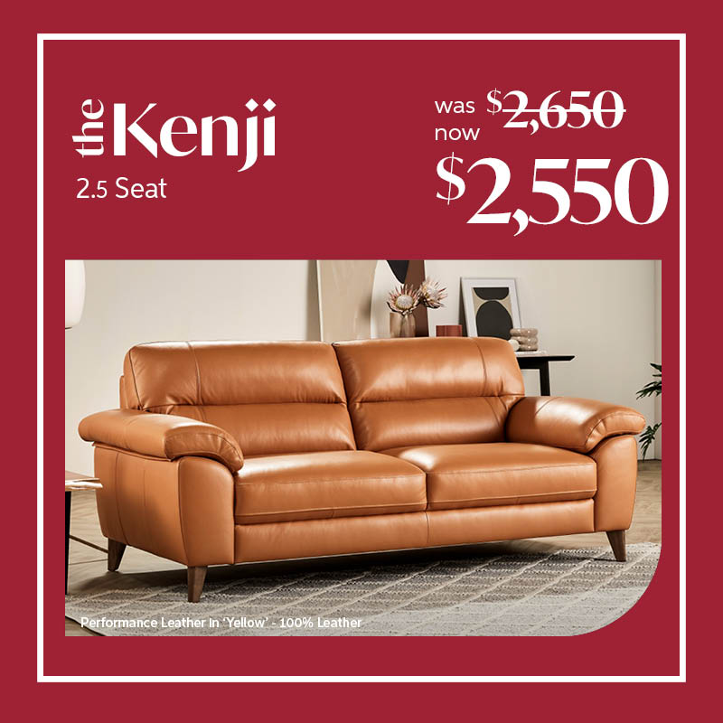 Plush Think Sofas - Australia’s Sofa Specialists